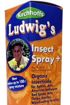 Ludwig's Insect Spray 500ml Pest and /or Diseases: African Bollworm ...